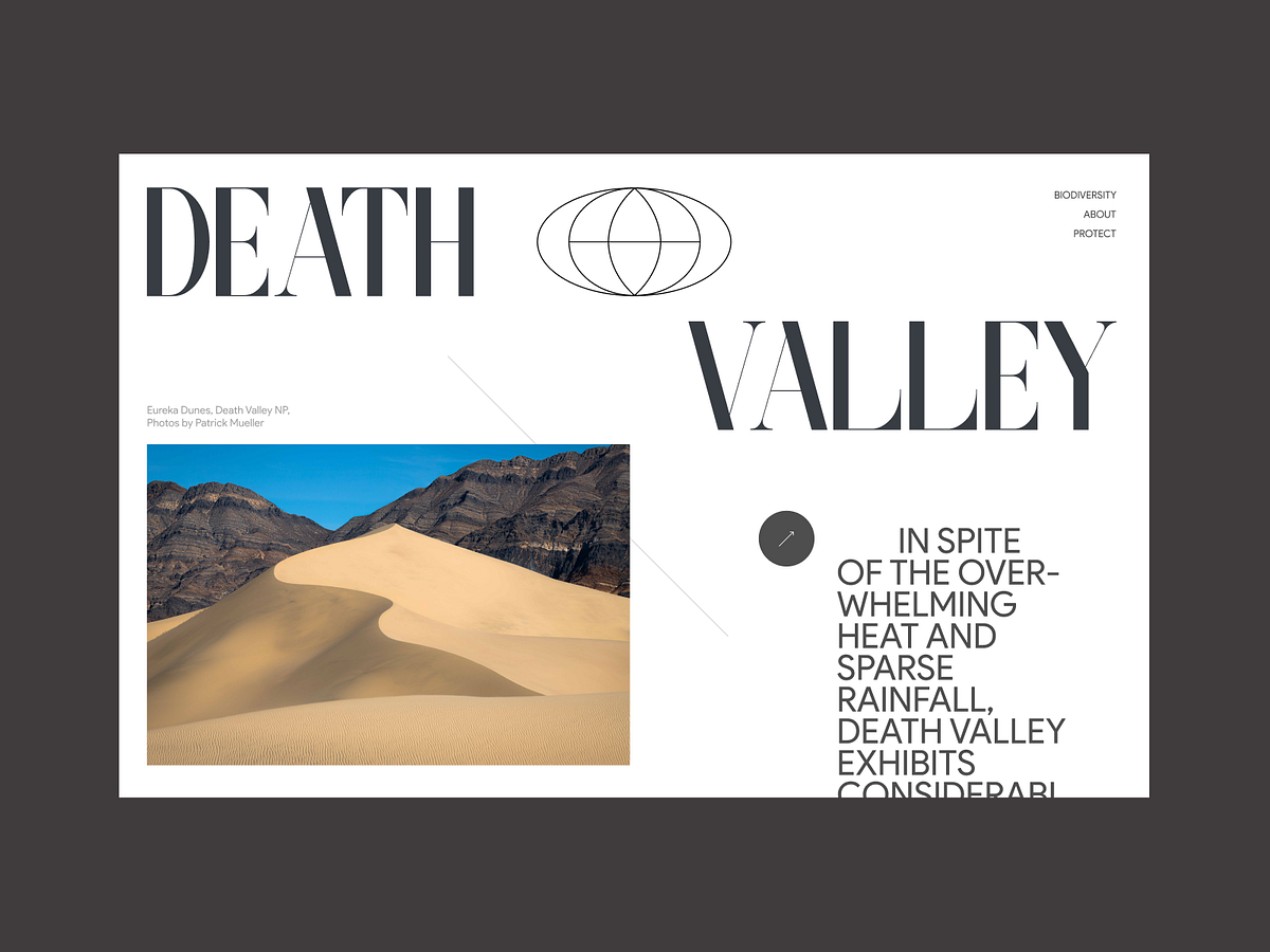 Random Layout by Abhishek Jha on Dribbble