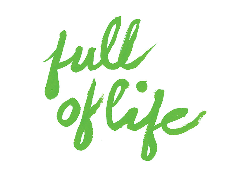 Full of life brush script by Ambert Rodriguez for Wheelhouse.io on Dribbble