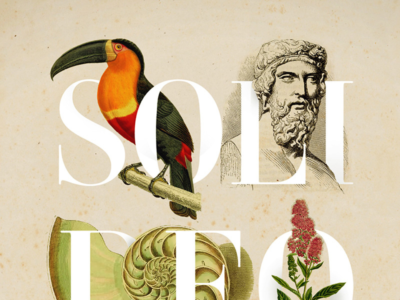 Print Ads for RBC by Andrew Perkins on Dribbble