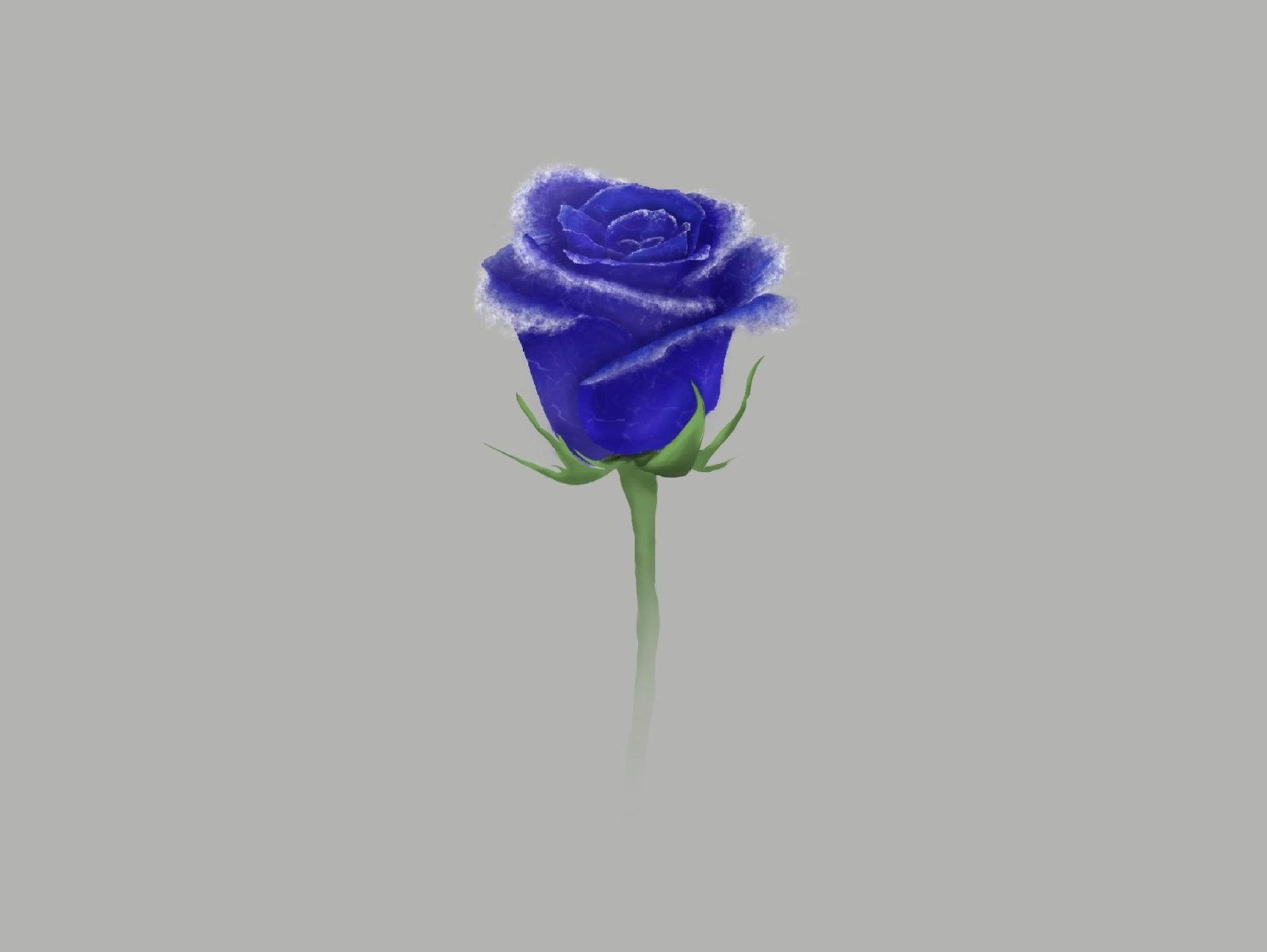 Anonymous Flower by douBleBean on Dribbble