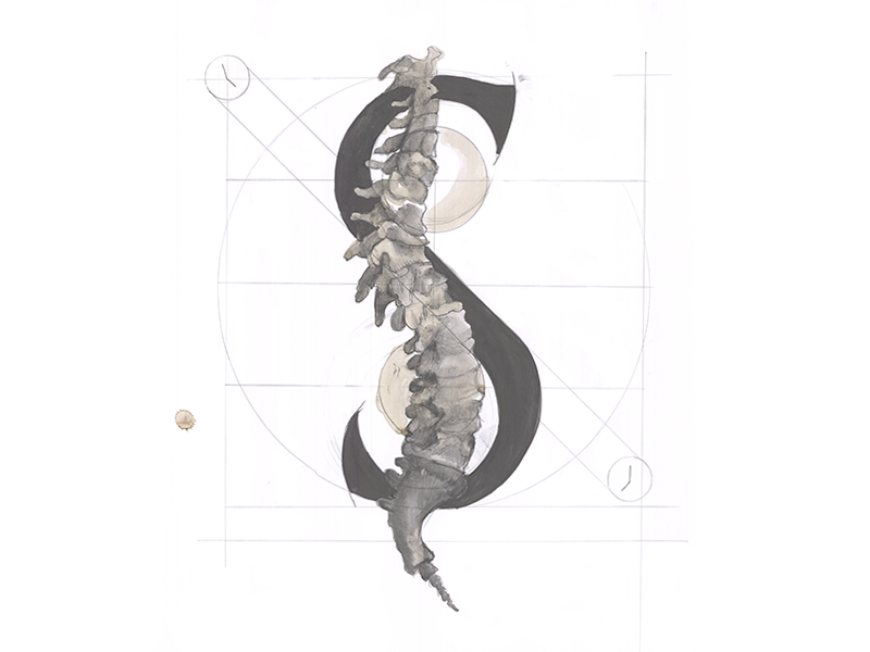 The DaVinci "S" by Mark Malek on Dribbble