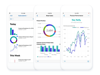 SAS Mobile BI by Mark Malek on Dribbble
