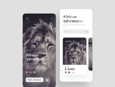 African Adventures by Aymane Helfa on Dribbble