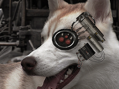 Mechanic dog by Kjegwan Leihitu on Dribbble