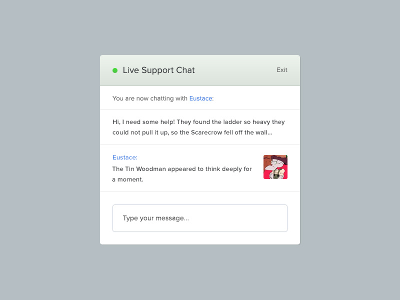 GoSquared Live Support Chat by d on Dribbble