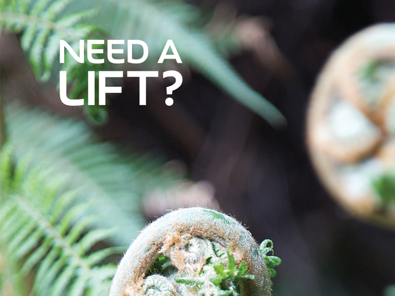 Need A Lift by Tim Brown on Dribbble