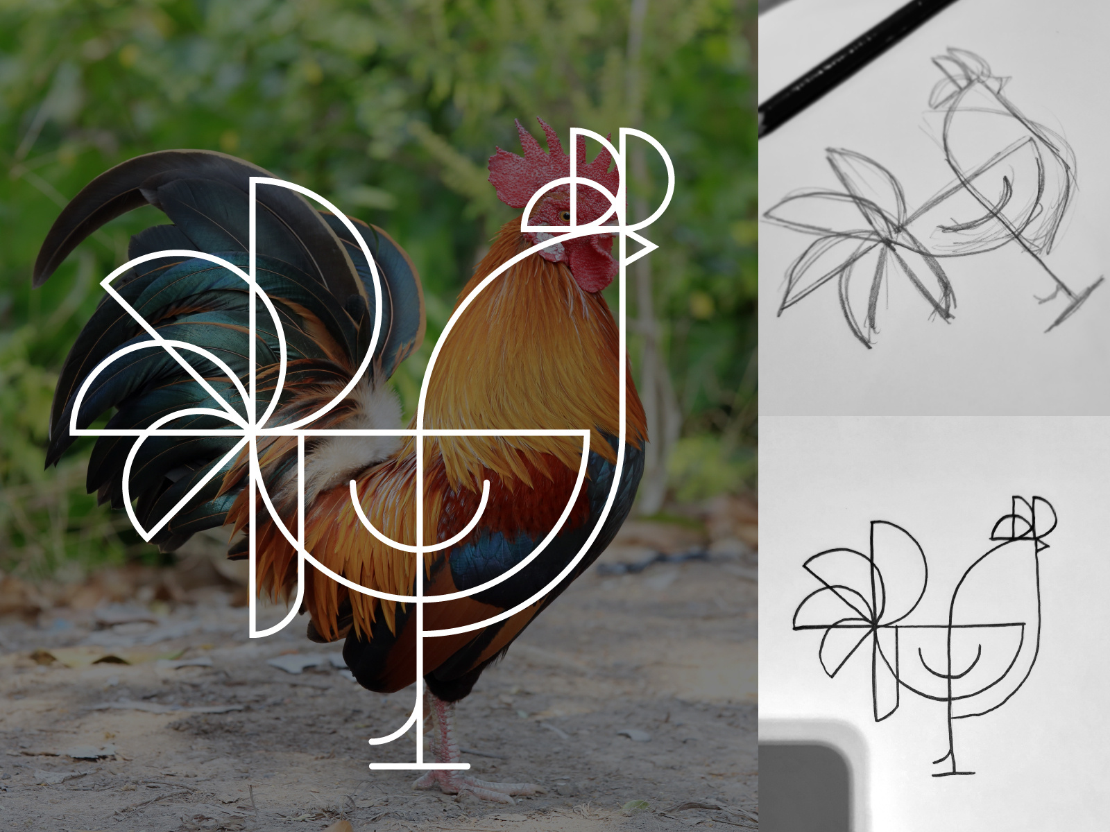 Dribbble - Jongwe-ideas.jpg by Tuna Can Creative