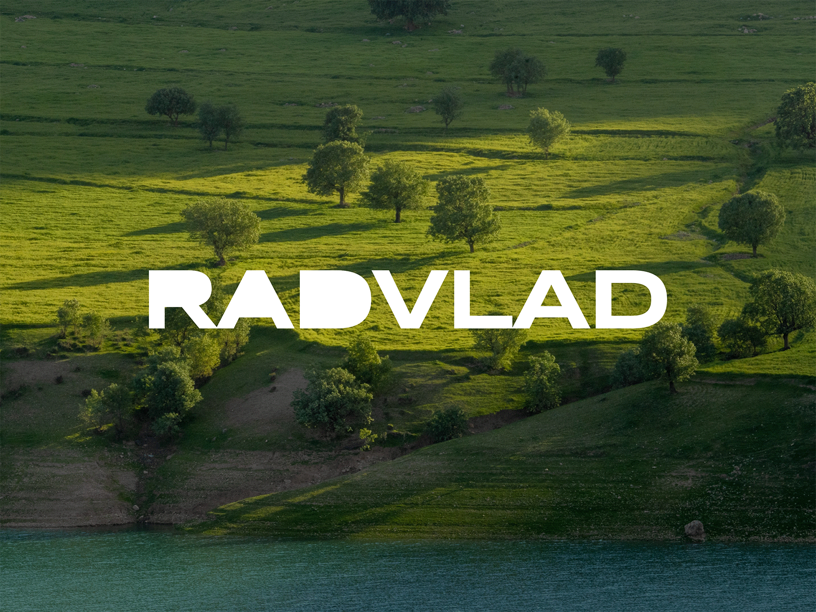 Freelancer Logo Design by Vlad Radchenko on Dribbble