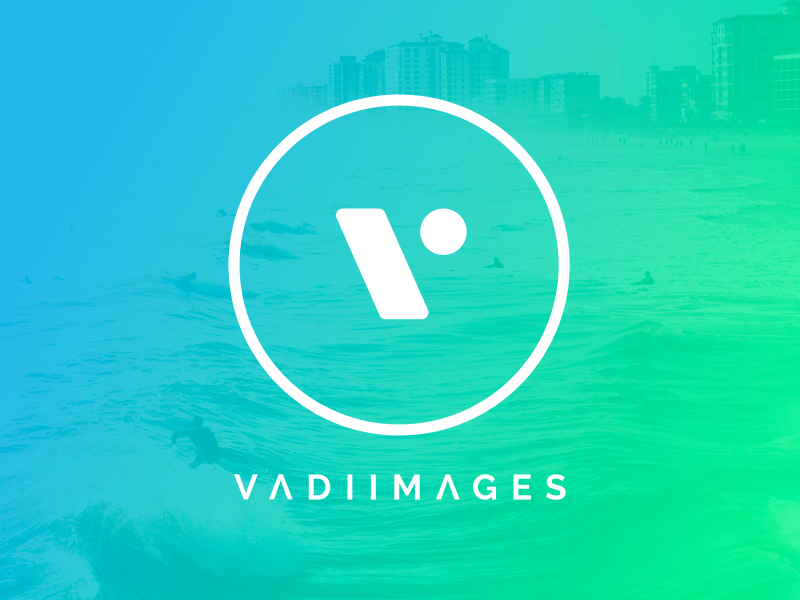 Vadi Logo