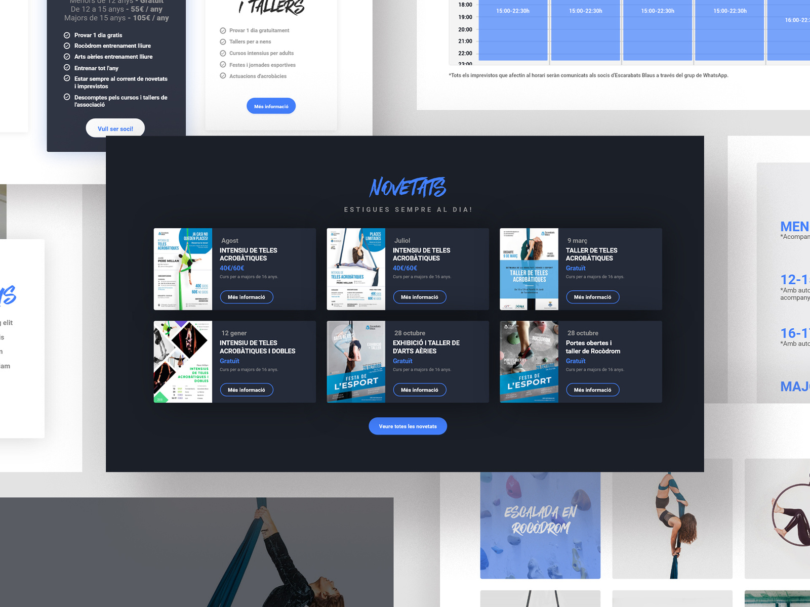 Aerial Arts Website by Laura González on Dribbble