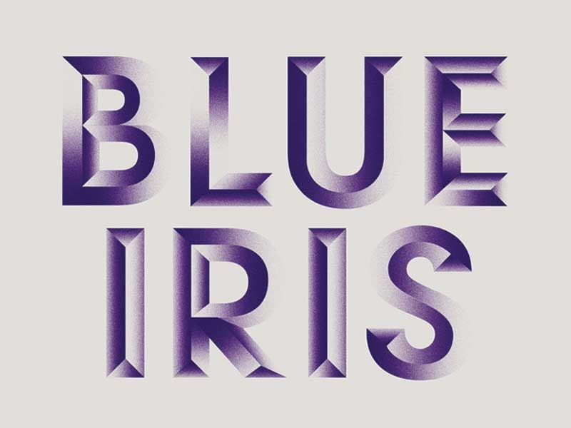 Blue Iris by Belu on Dribbble