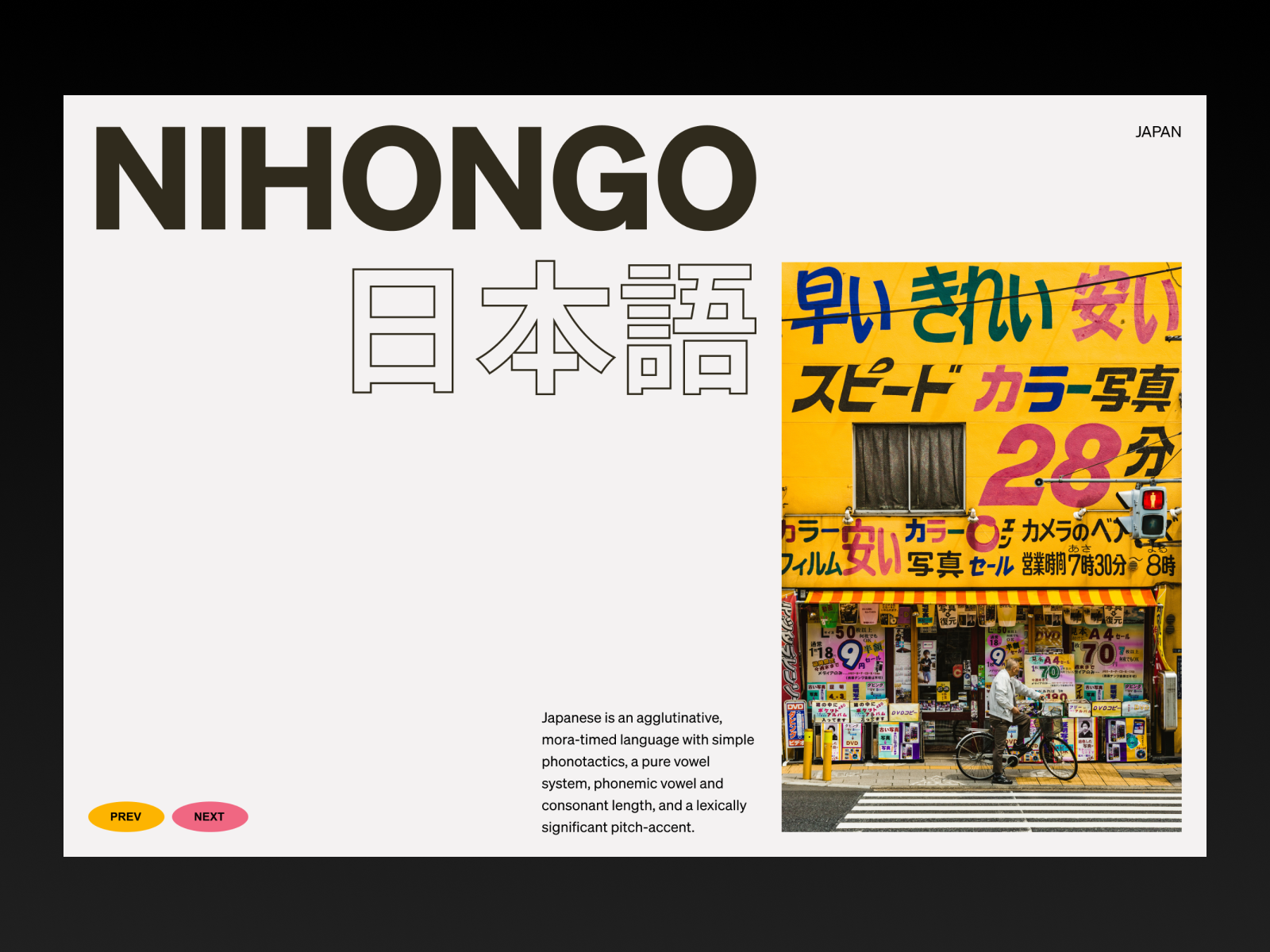 Nihongo : Layout by Kara Katon on Dribbble