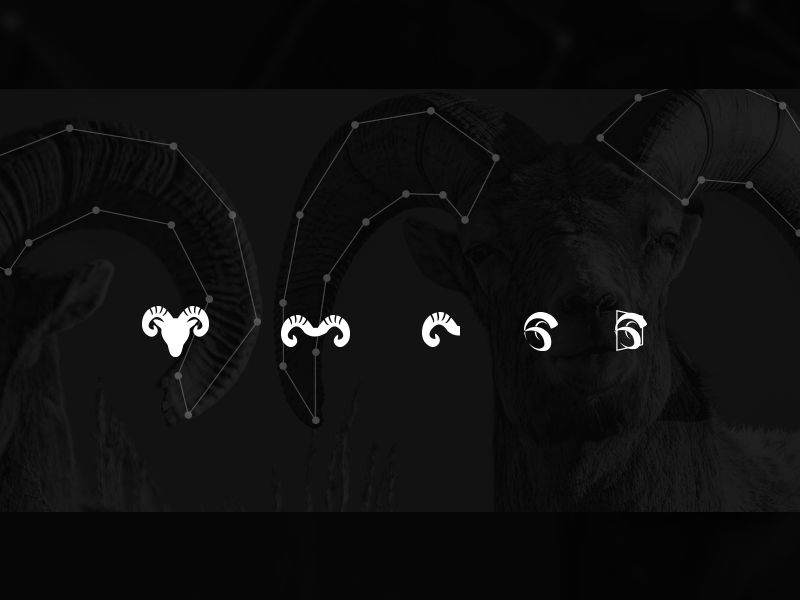 Bellwether Consulting Logo concept by Mohammad Mannaa on Dribbble