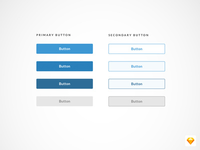 Sketch File Designs on Dribbble