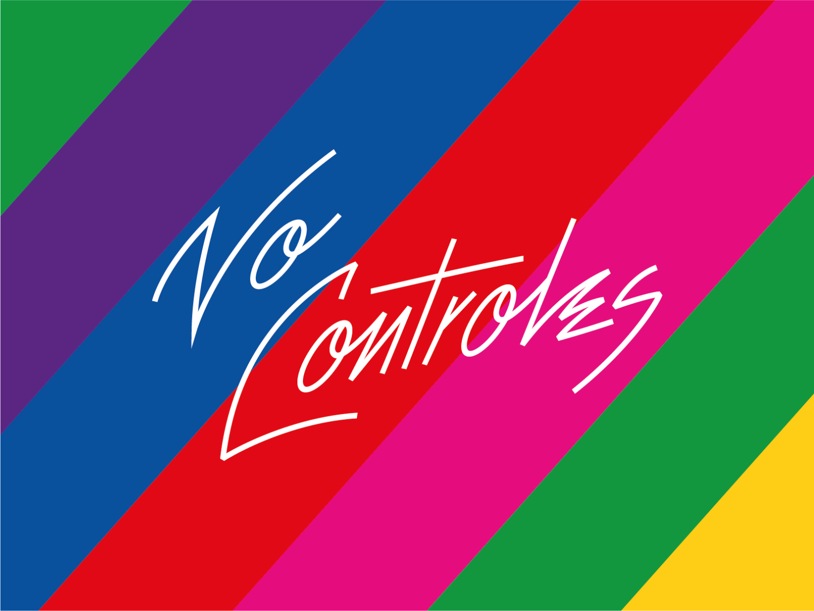 No Controles Logotype by Leyda Luz on Dribbble