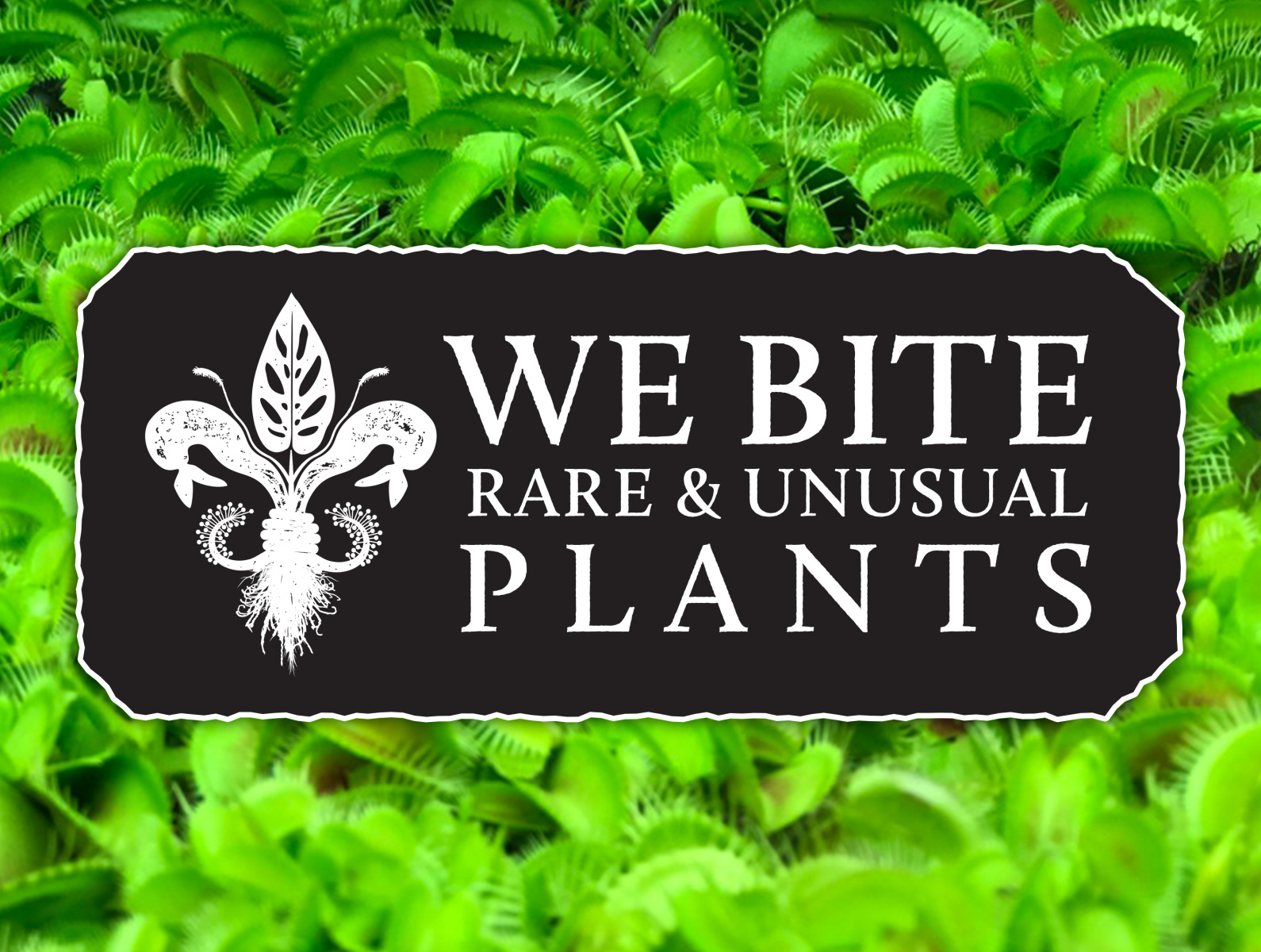 We Bite Rare & Unusual Plants Rebrand by P. Gage Burke on Dribbble