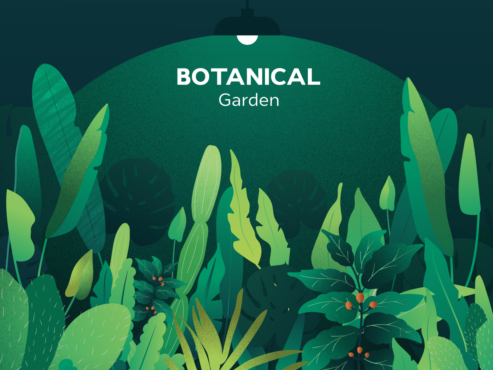 Botanical garden- illustration by Anastasiia Polukhina on Dribbble