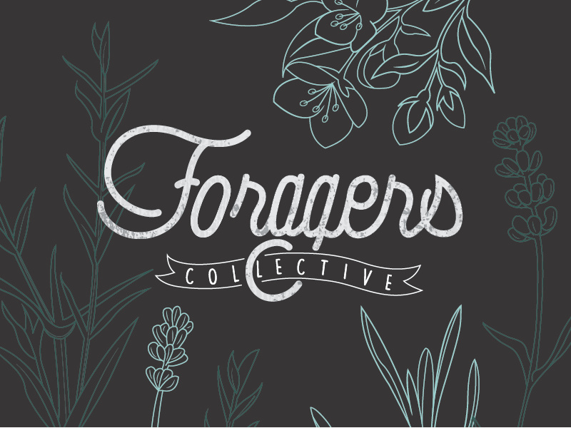 Foragers Collective by Lillian Oeding on Dribbble
