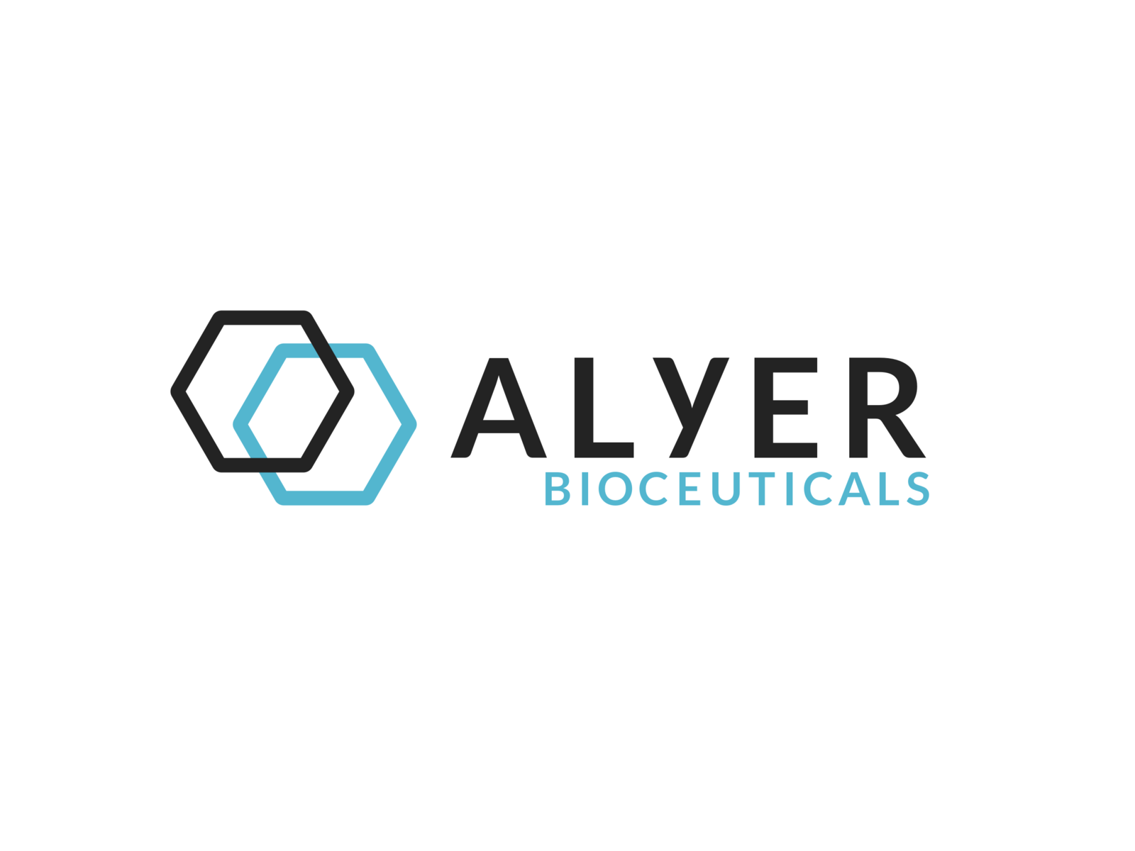 Alyer Logo Design by Steven Oey on Dribbble