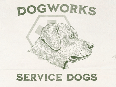 Dogworks Service Dogs pt 2 by Nicole Alene on Dribbble