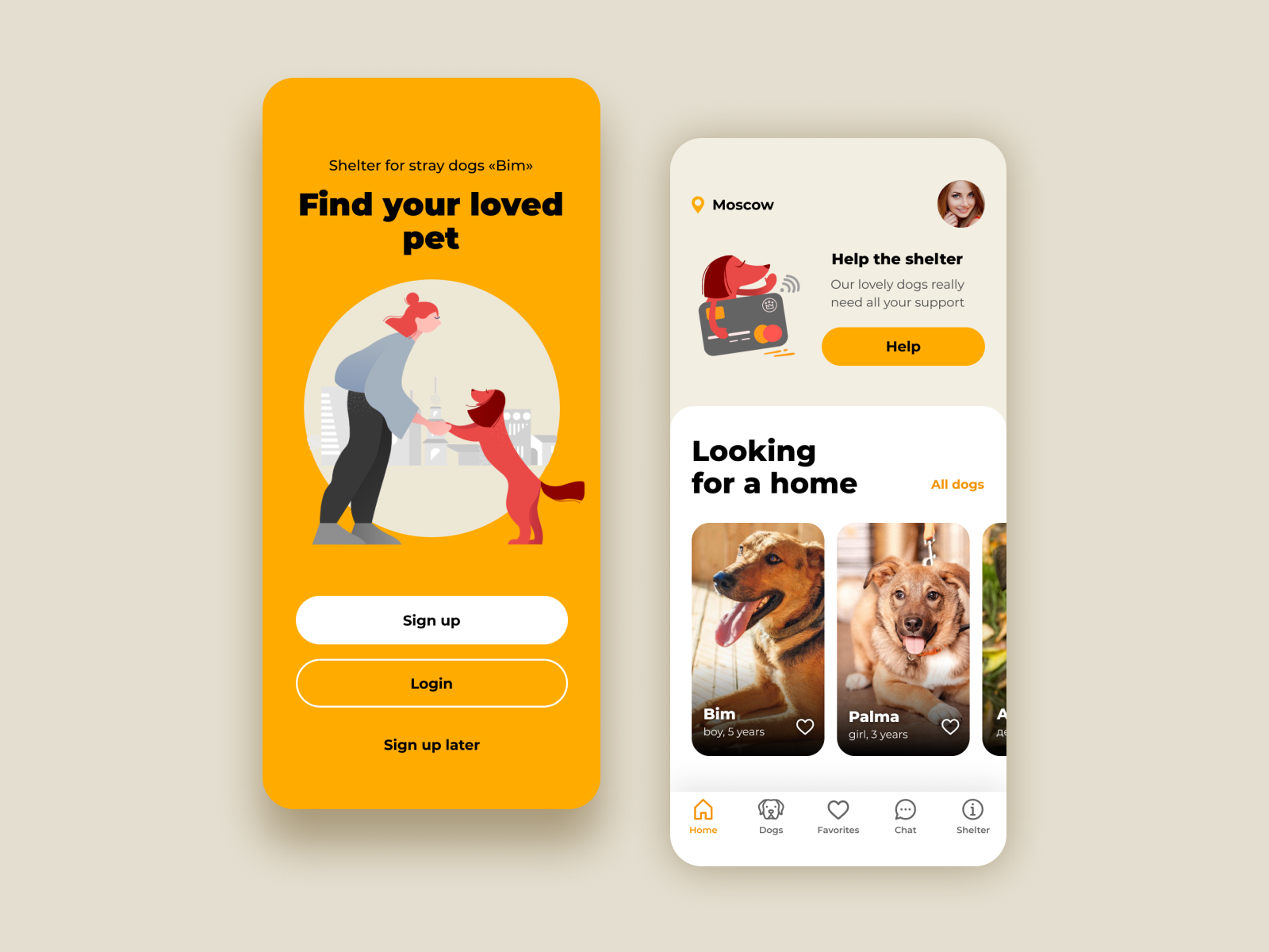 Shelter for stray dogs App by Yuliya Nikitanova on Dribbble