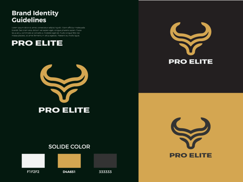 Pro Elite by Md. Amin Hossain on Dribbble
