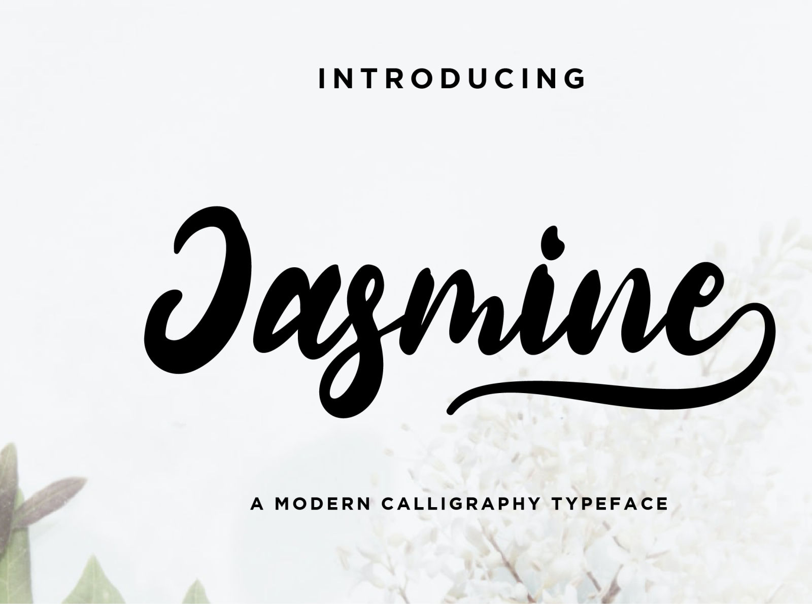 Jasmine Script by Fanastudio on Dribbble