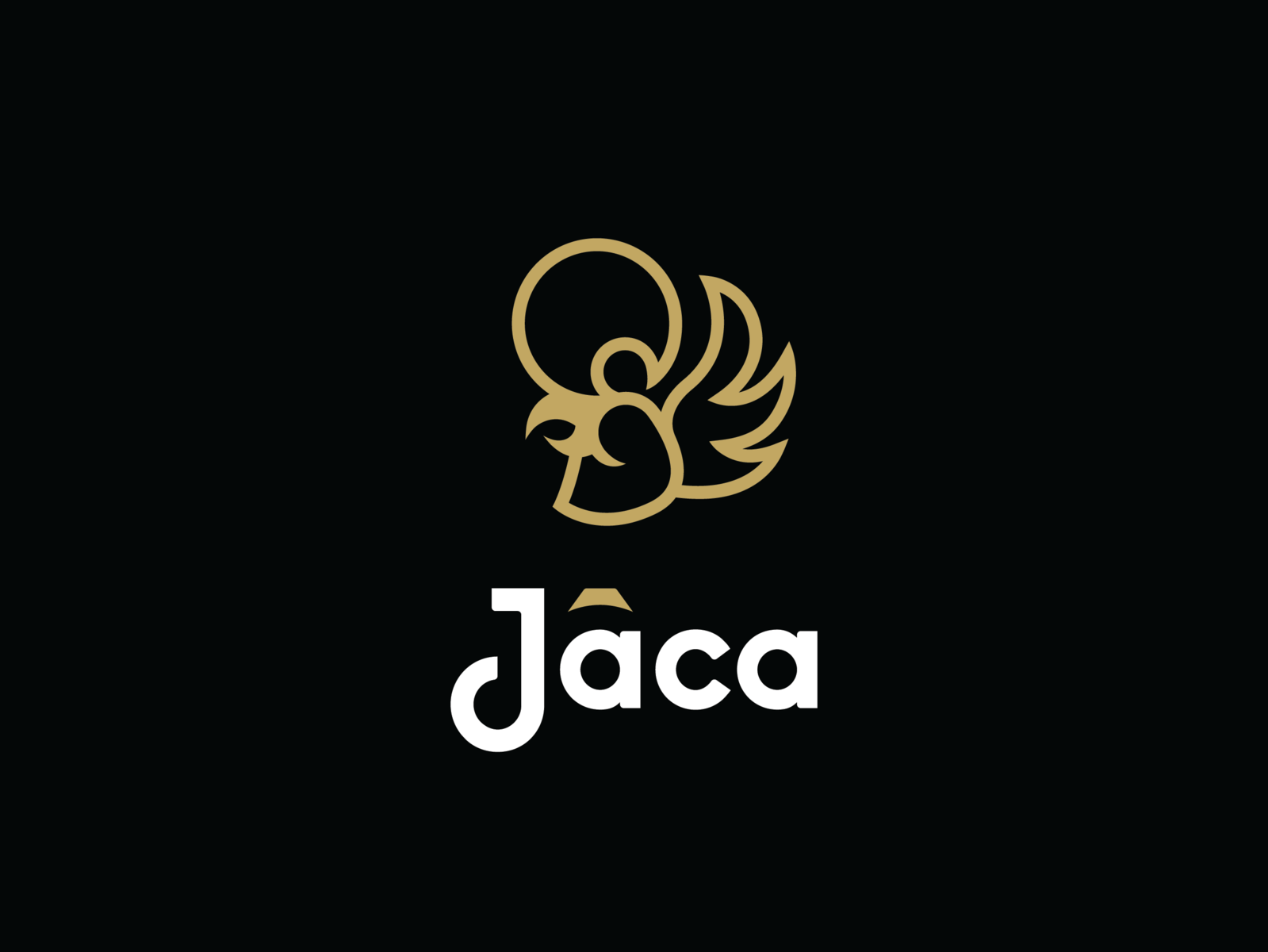 Jâca by Dalia Moya on Dribbble
