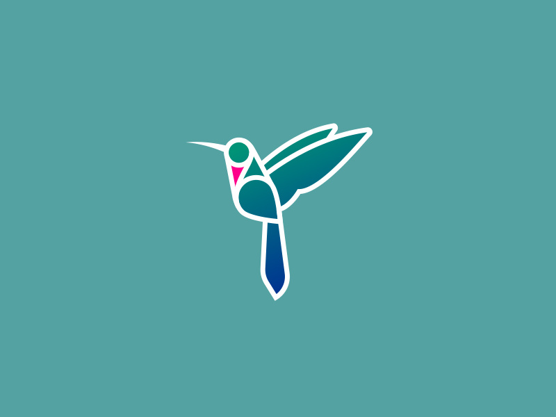 Flight by Kiley Hoffman on Dribbble