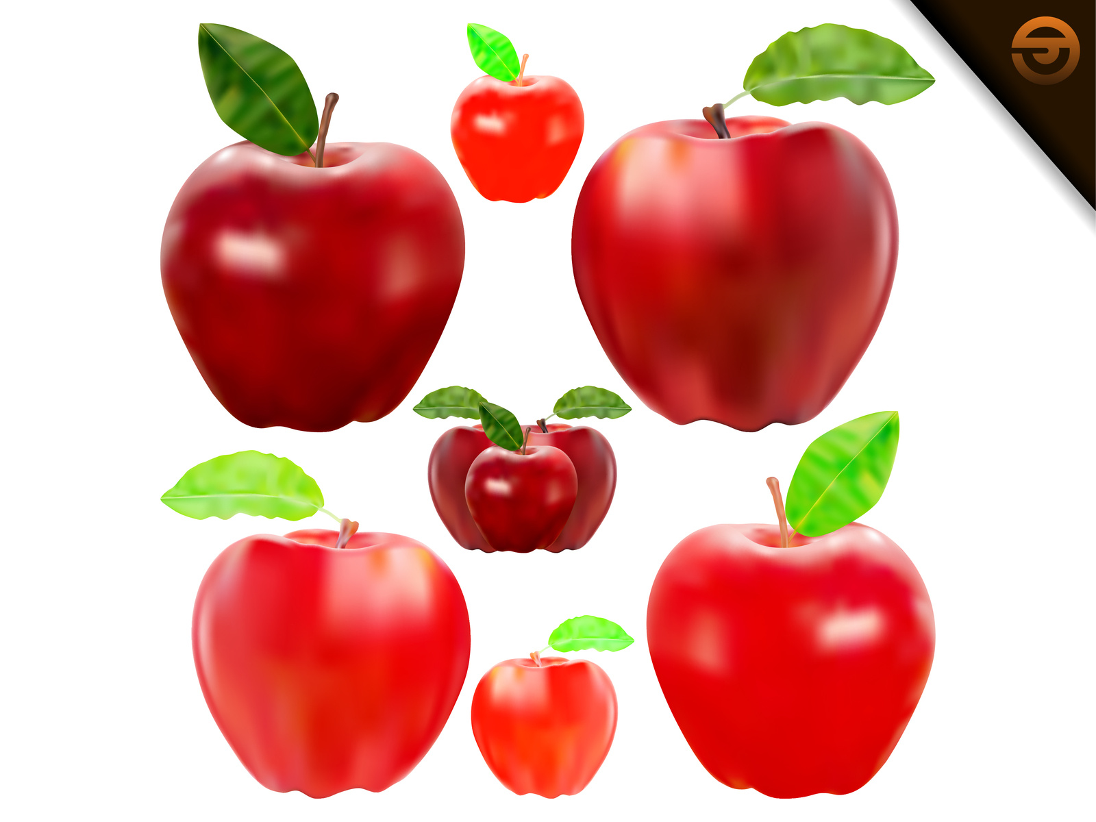 Fresh Red Apple With Gradient Mesh, Vector Illustration by Bramantya WJ ...