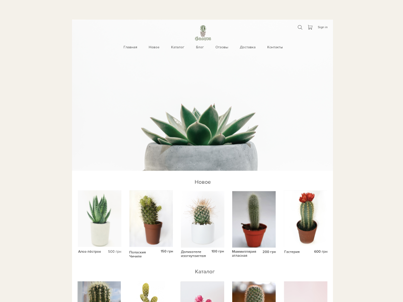Cactus site by Natasha on Dribbble