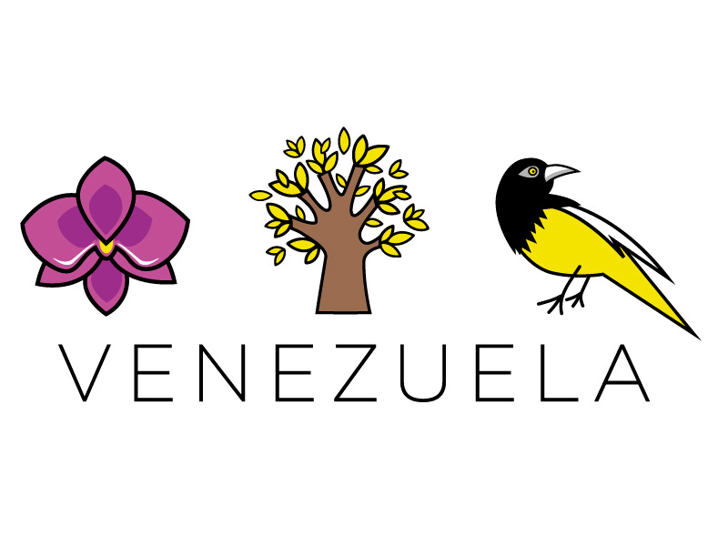 Venezuela Icons by Denise Alsina on Dribbble