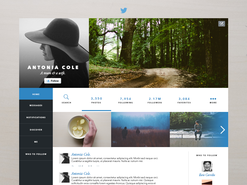 Twitter Layout Redesign by Estie Carrillo on Dribbble
