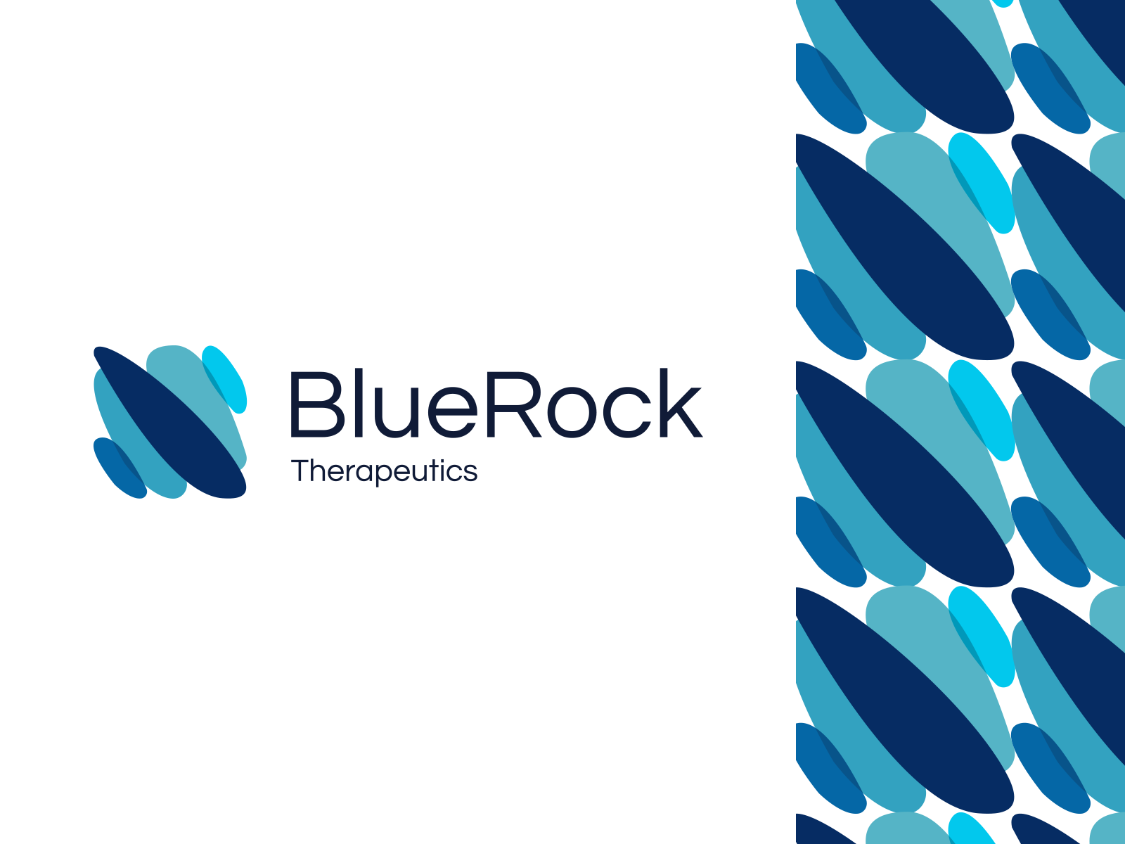 BlueRock Concept by Muhammad Hadi on Dribbble
