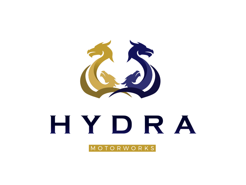 Hydra Motorworks Logo by Irina Brebulet on Dribbble