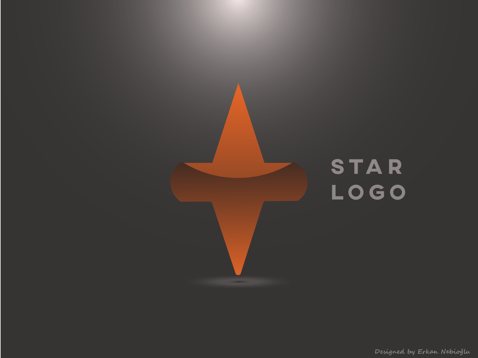 star logo by erkan nebioğlu on Dribbble