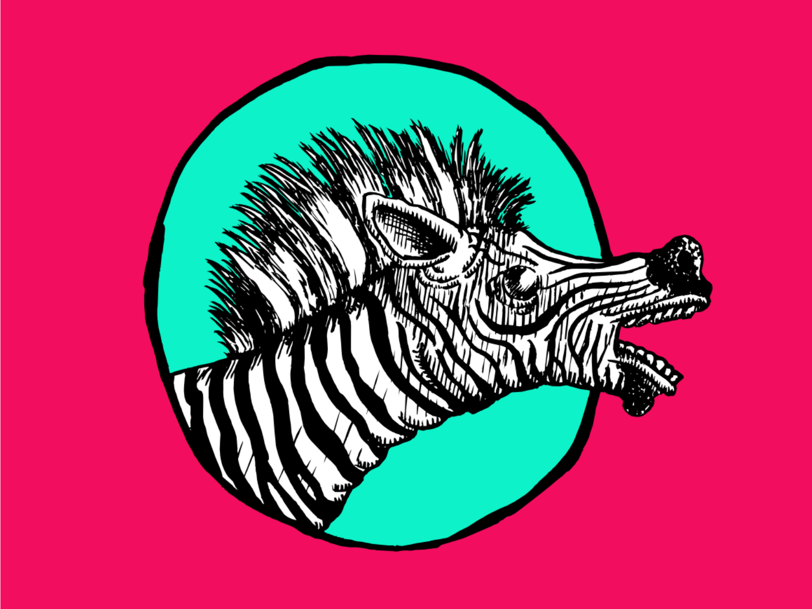 Punk Zebra Print by Andrew Wall on Dribbble