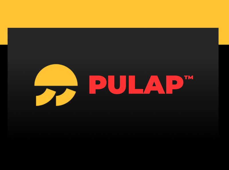 Pulap logo by Hicham Baghedoud on Dribbble