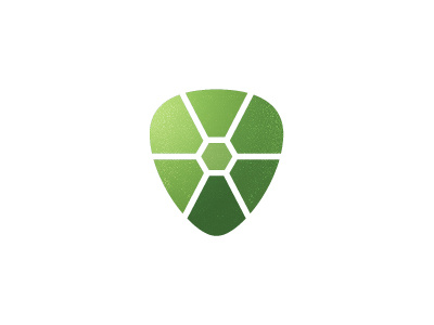 Turtle Shell Logo