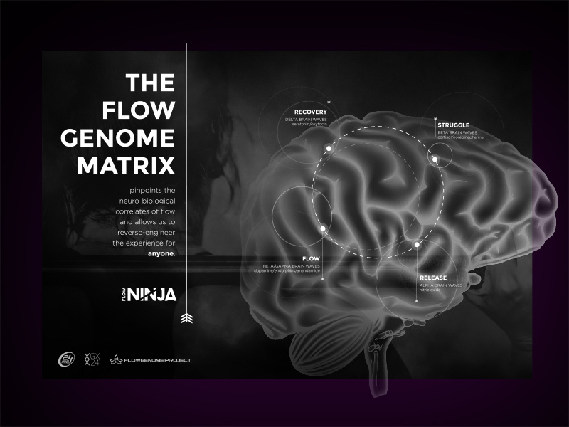 Flow Genome Matrix Poster by Taylor Dunham on Dribbble