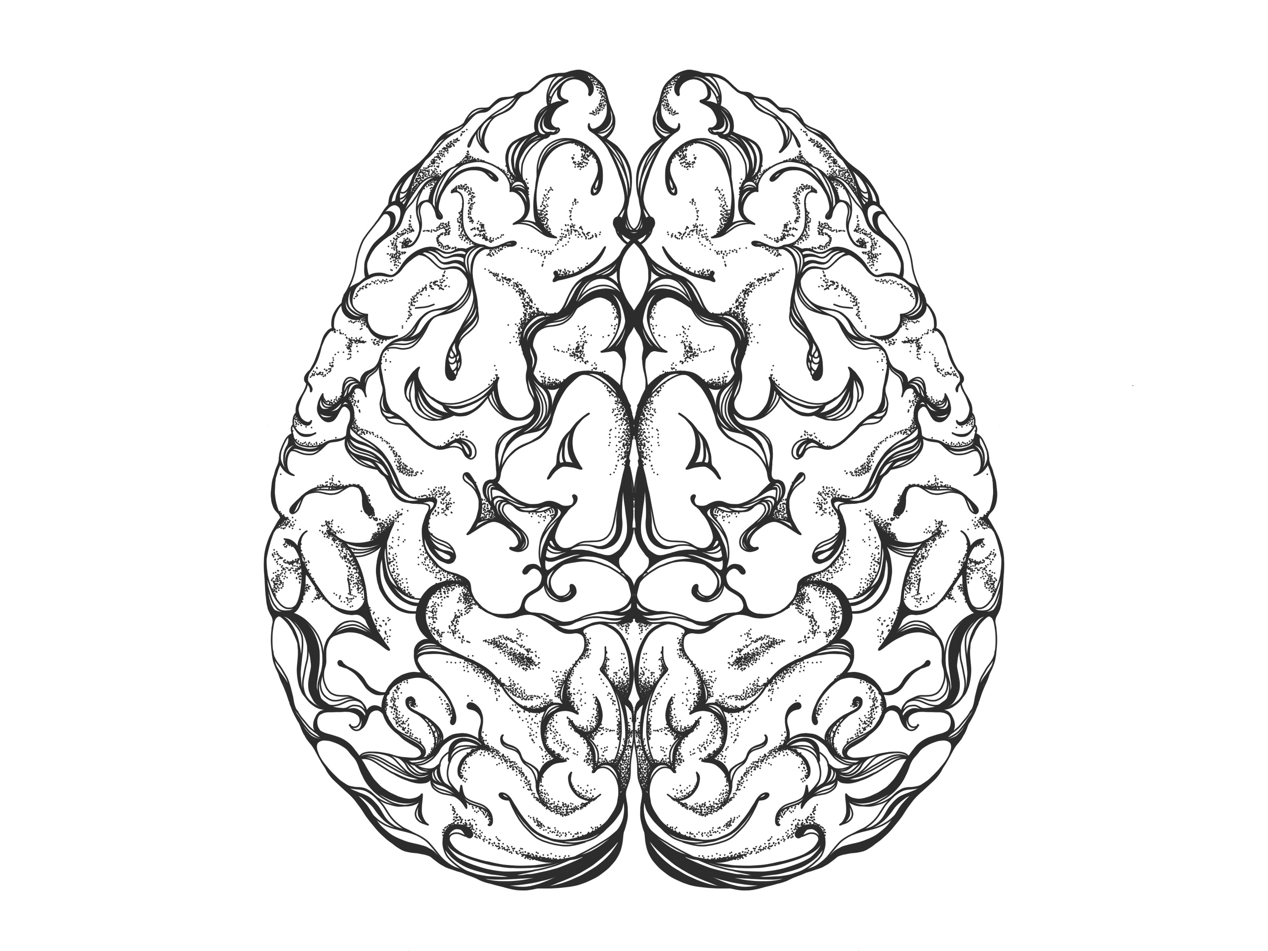 Brain Drawing Top View