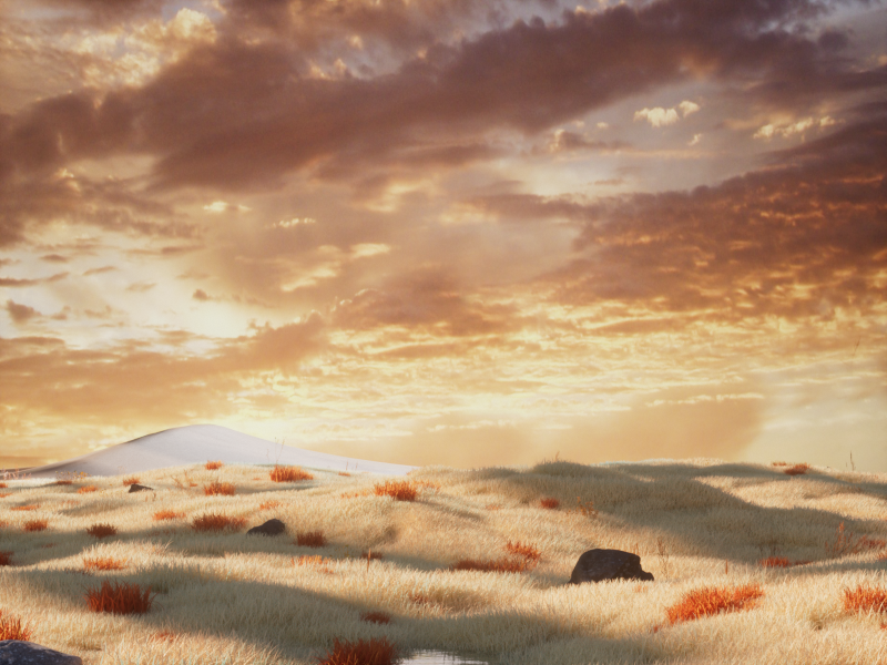 Landscape v2 by Ilya Evseev on Dribbble