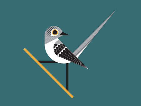 Browse thousands of Mockingbird images for design inspiration | Dribbble