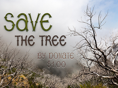 Tree Branch Font by OWPictures on Dribbble