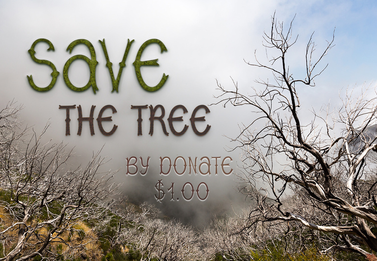 Tree Branch Font by OWPictures on Dribbble