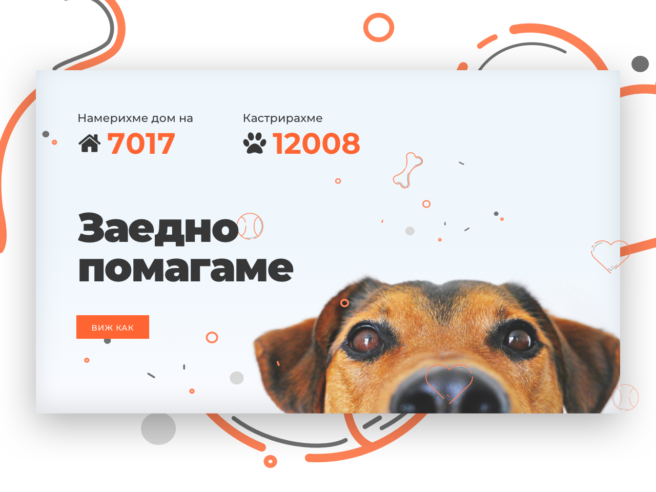 Animal Rescue Sofia Banner Concept by Kristiana on Dribbble