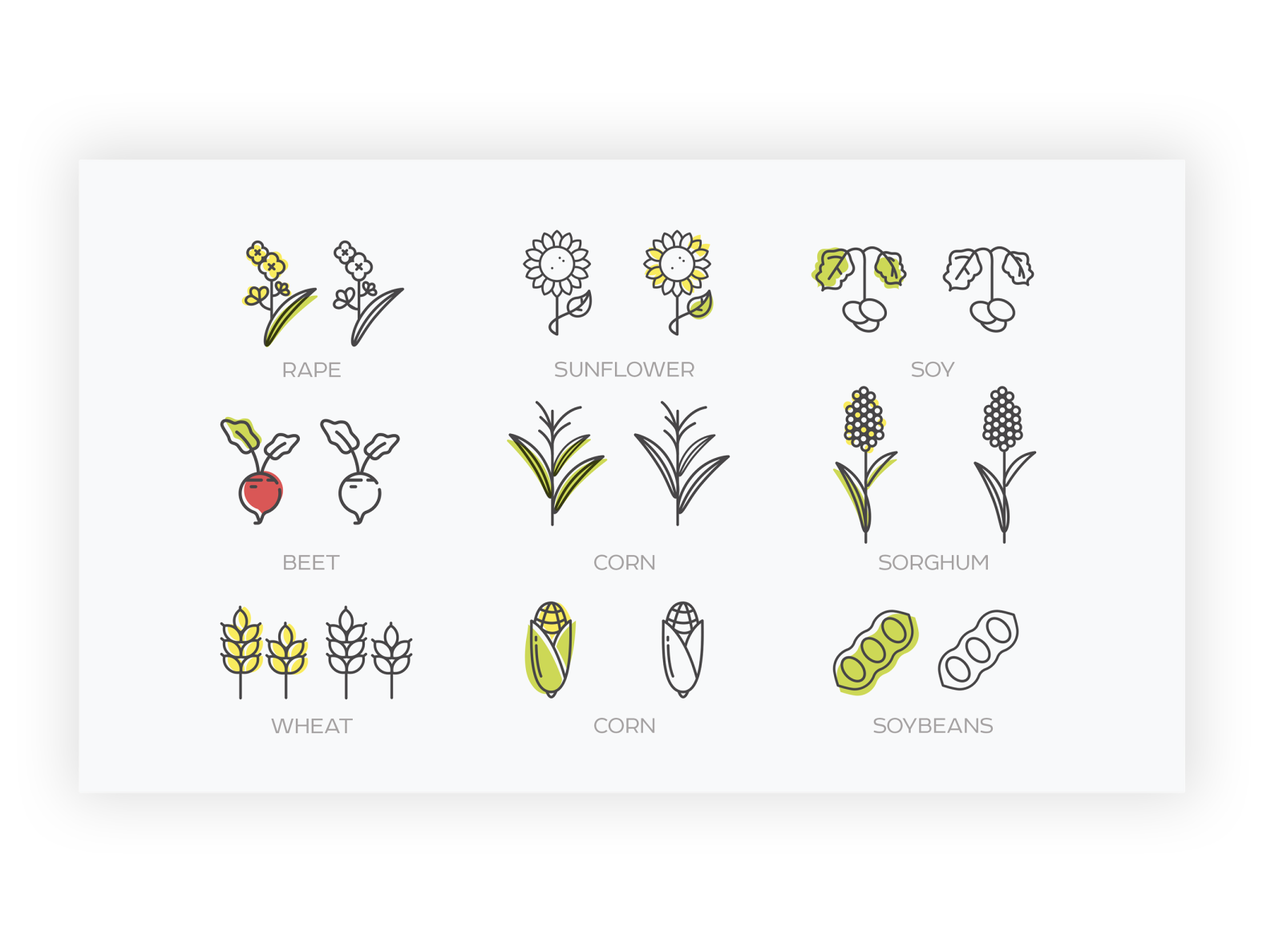 ICON SET by Katerina Sheludko on Dribbble