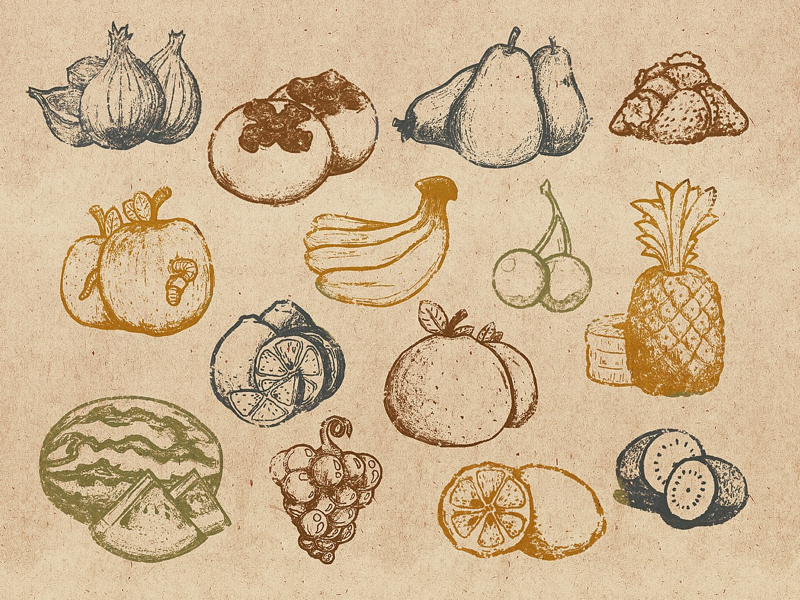 Fruit Colors by Artifact Bazaar on Dribbble