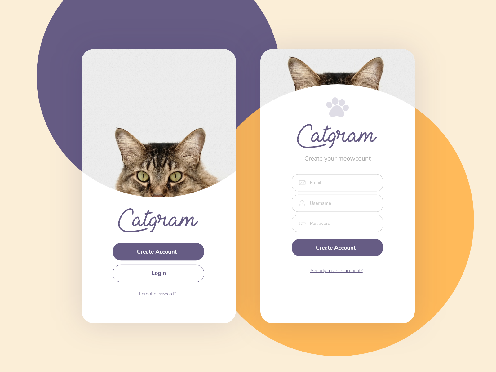 Catgram Login - UI Challenge by Carol Carretto on Dribbble