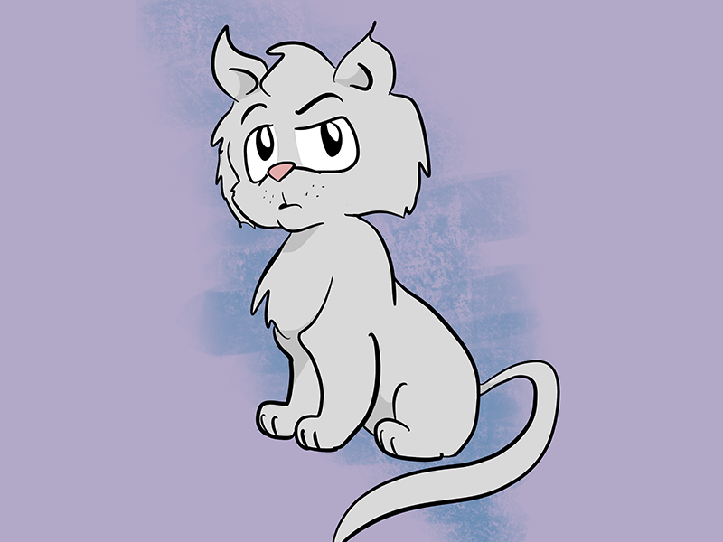 Skeptical Cat by Kylie Donohoe on Dribbble